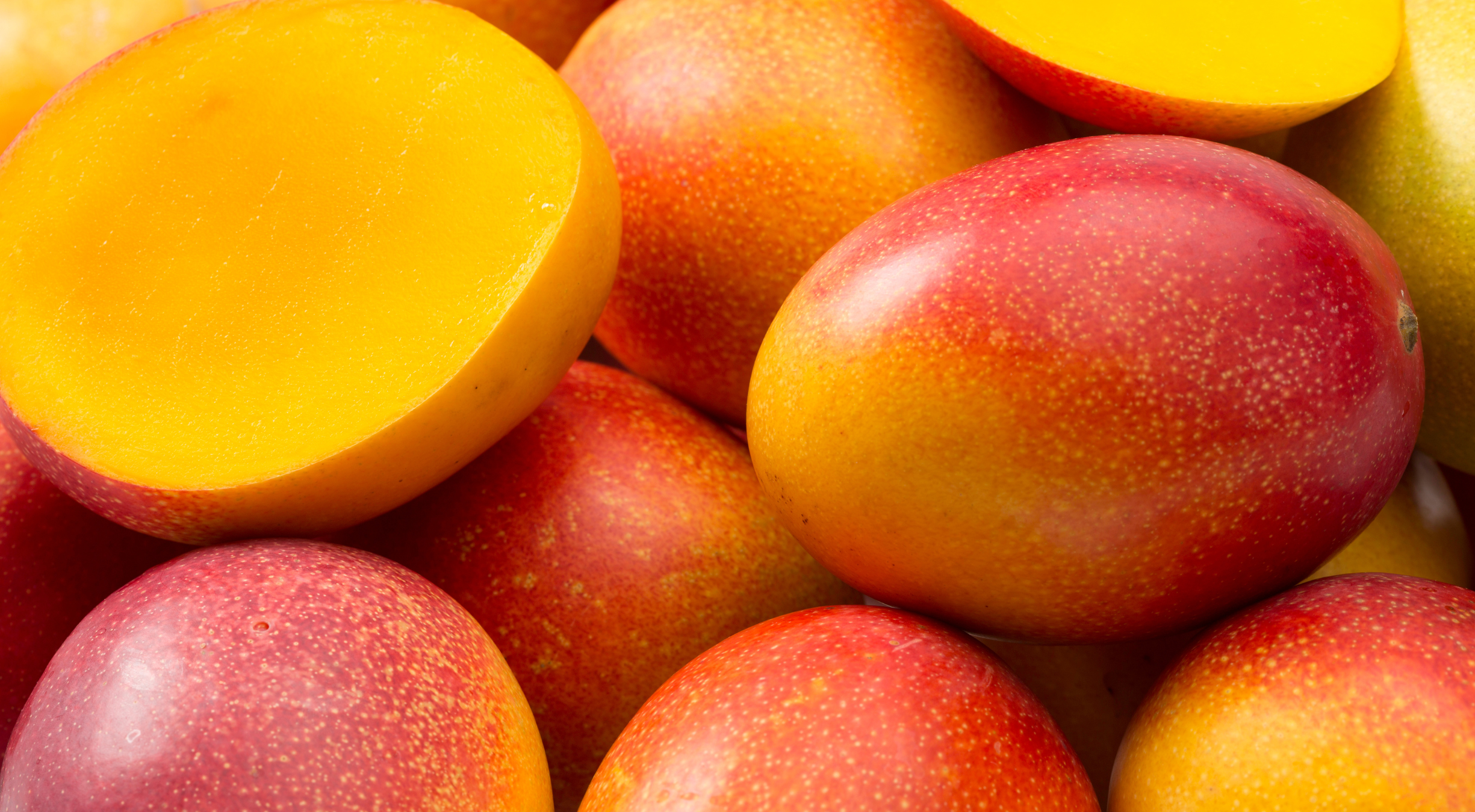 Can My Dog Eat Mango? A Guide to Fruit Safety – Marleybones