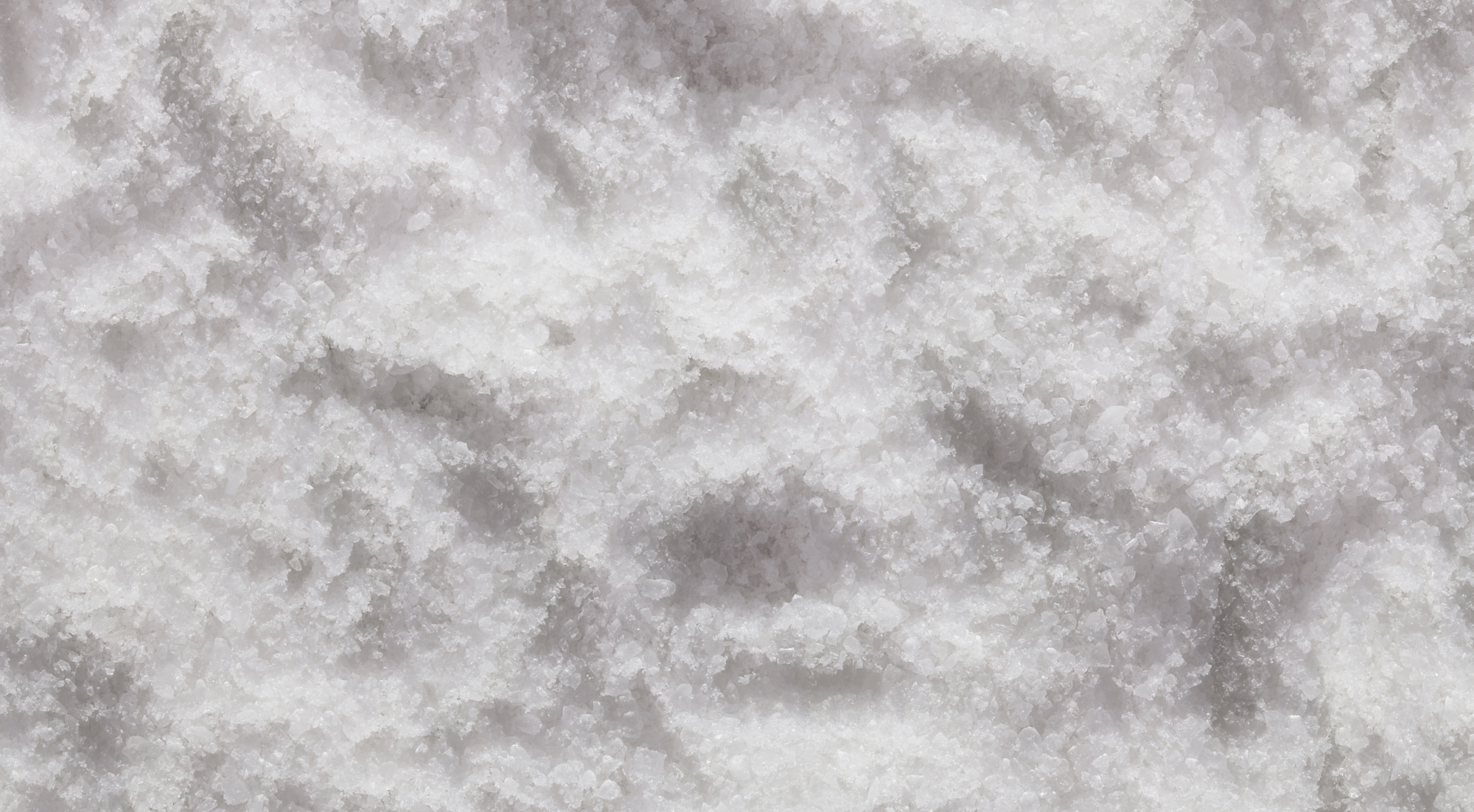 Can My Dog Eat Salt? Sodium Needs and Risks – Marleybones