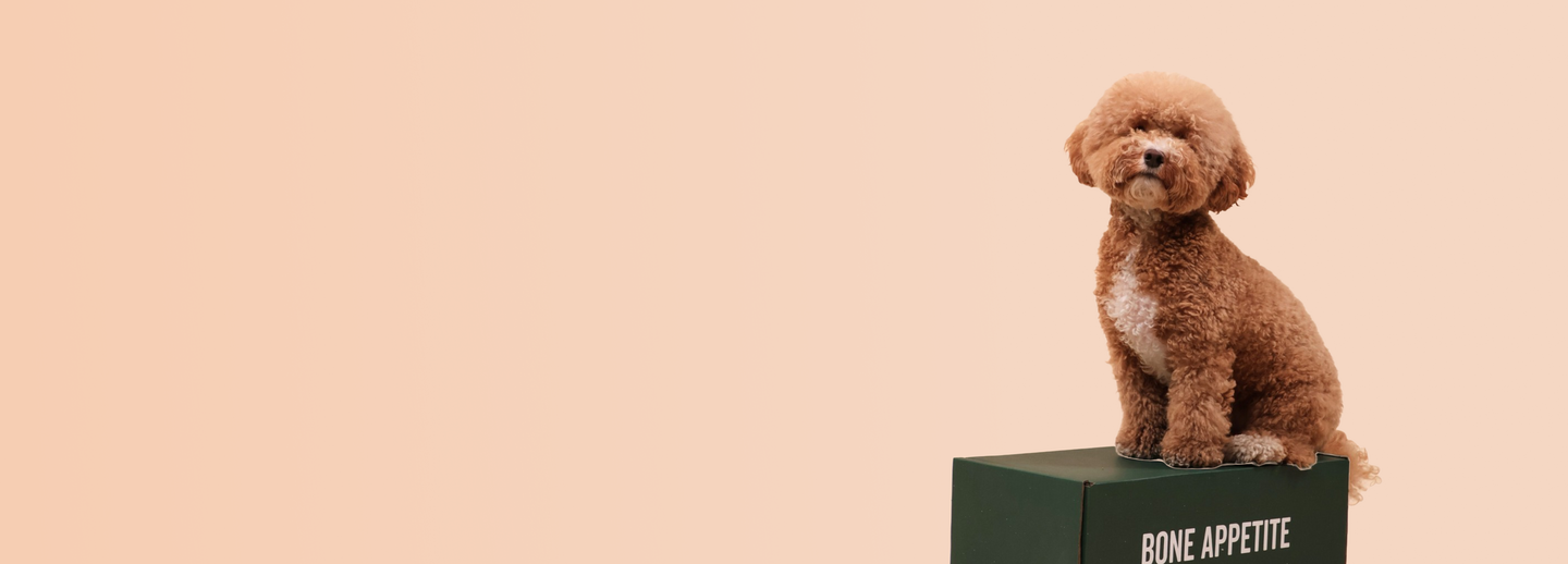 How it works – Marleybones