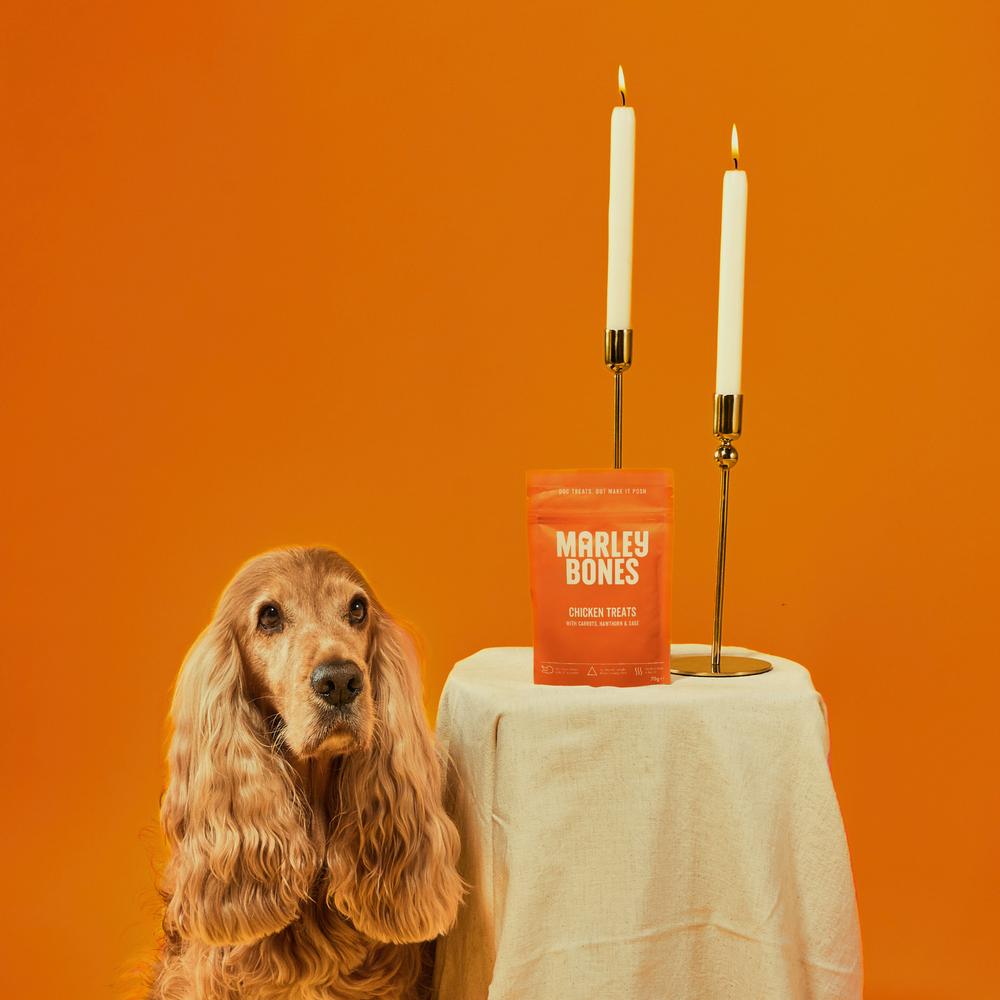 Delicious chicken dog treats | Healthy & Natural – Marleybones