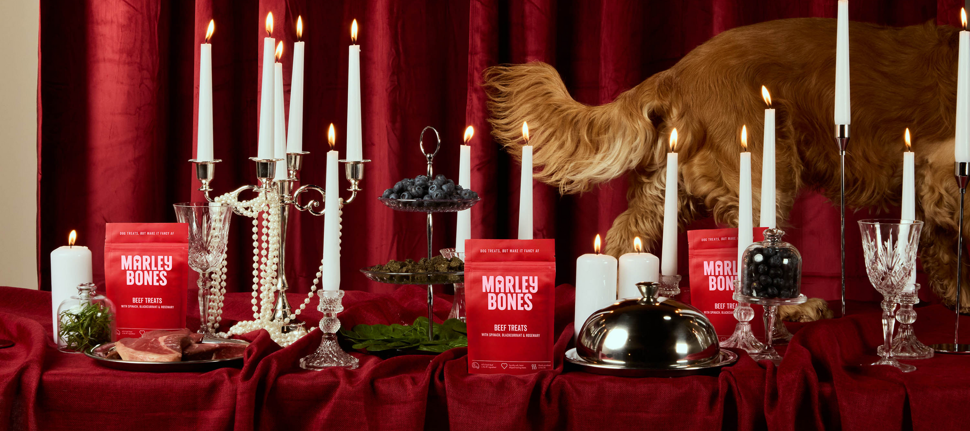 Healthy dog treats | Delicious & nutritious snacks – Marleybones