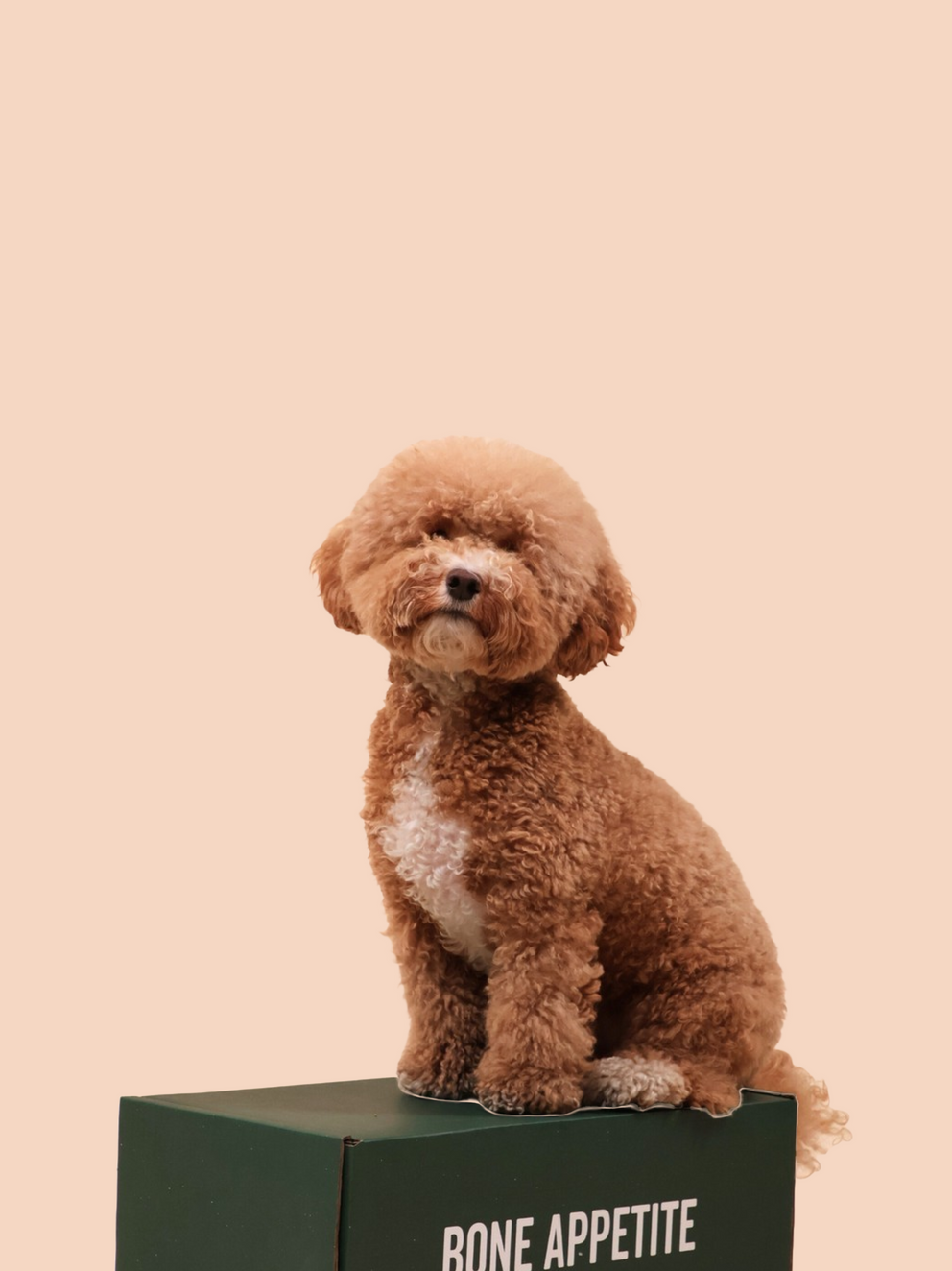 How it works – Marleybones