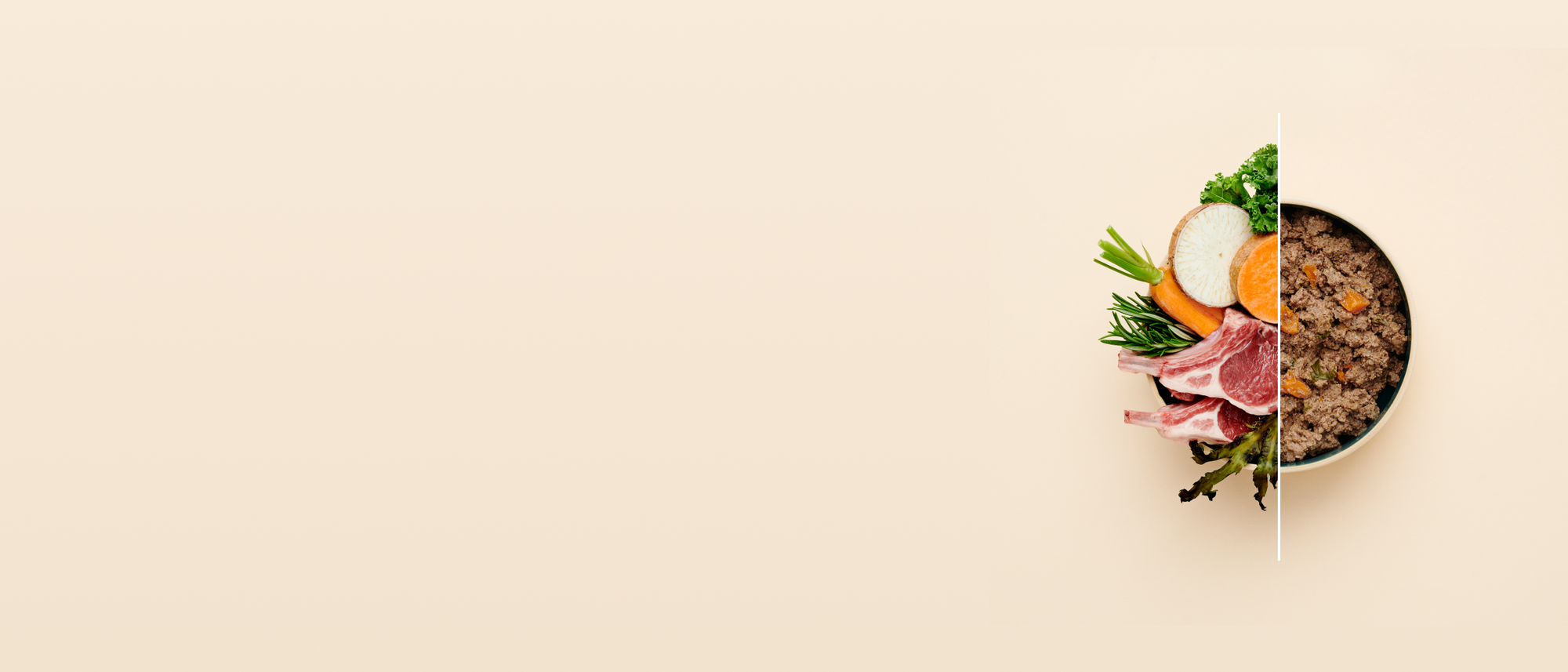 Got a Fussy Eater Dog? Here's What To Know – Marleybones