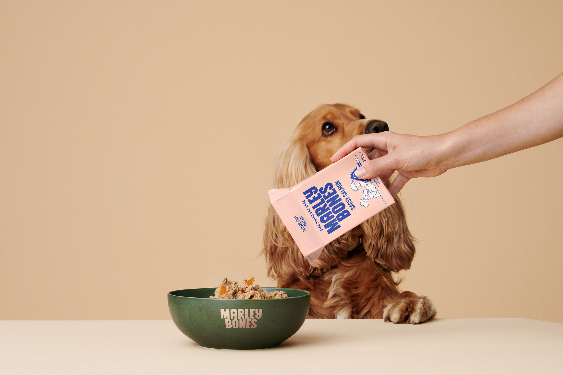 Premium dog meals | Fresh, Nutritious & Easy – Marleybones