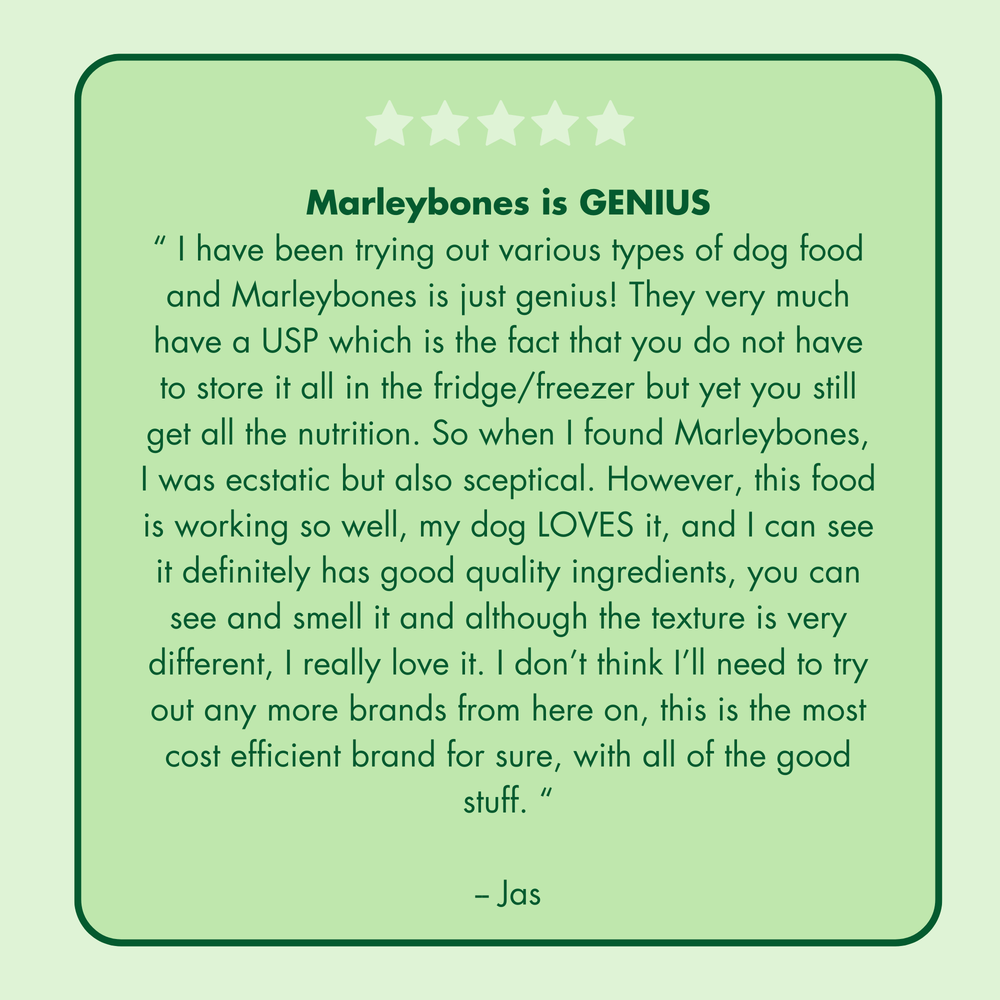Lamb Wet Dog Food | Premium Quality – Marleybones