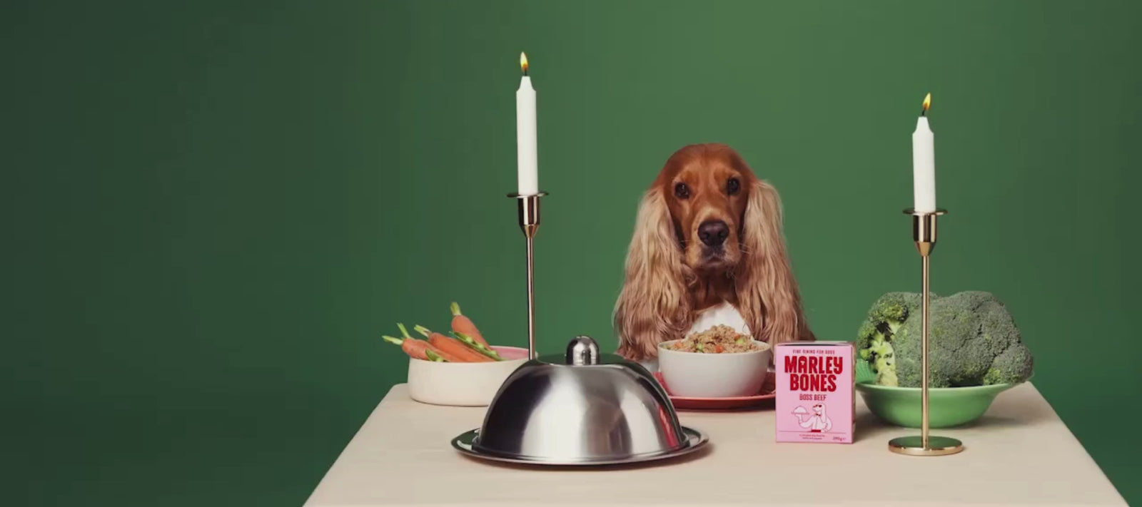 Fresh Dog Food Delivery Service | High Quality | Marleybones